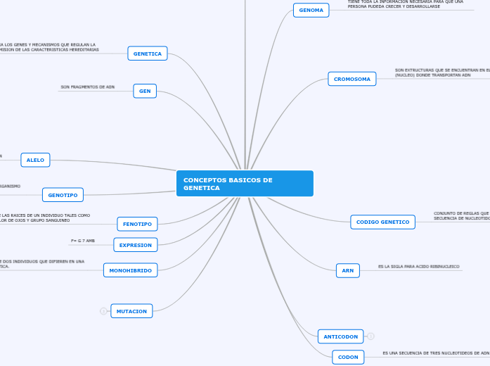 CONCEPTOS BASICOS DE GENETICA - Mind Map